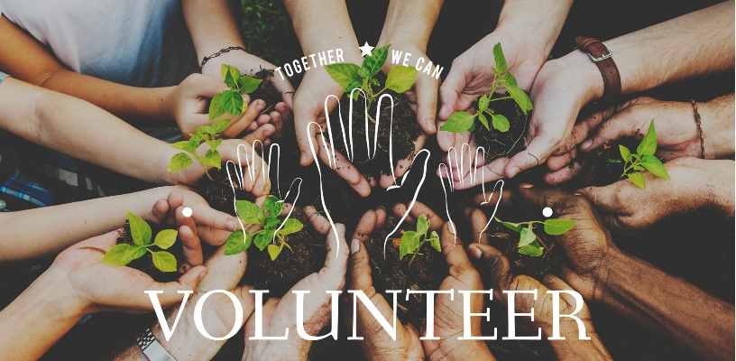 Volunteer Opportunity in India: How to Volunteer with an NGO from Abroad? - Blog